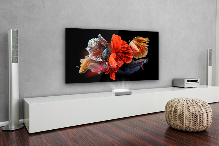 Fscreen Fresnel ALR Projection Screen for Laser TV, Fresnel Lens